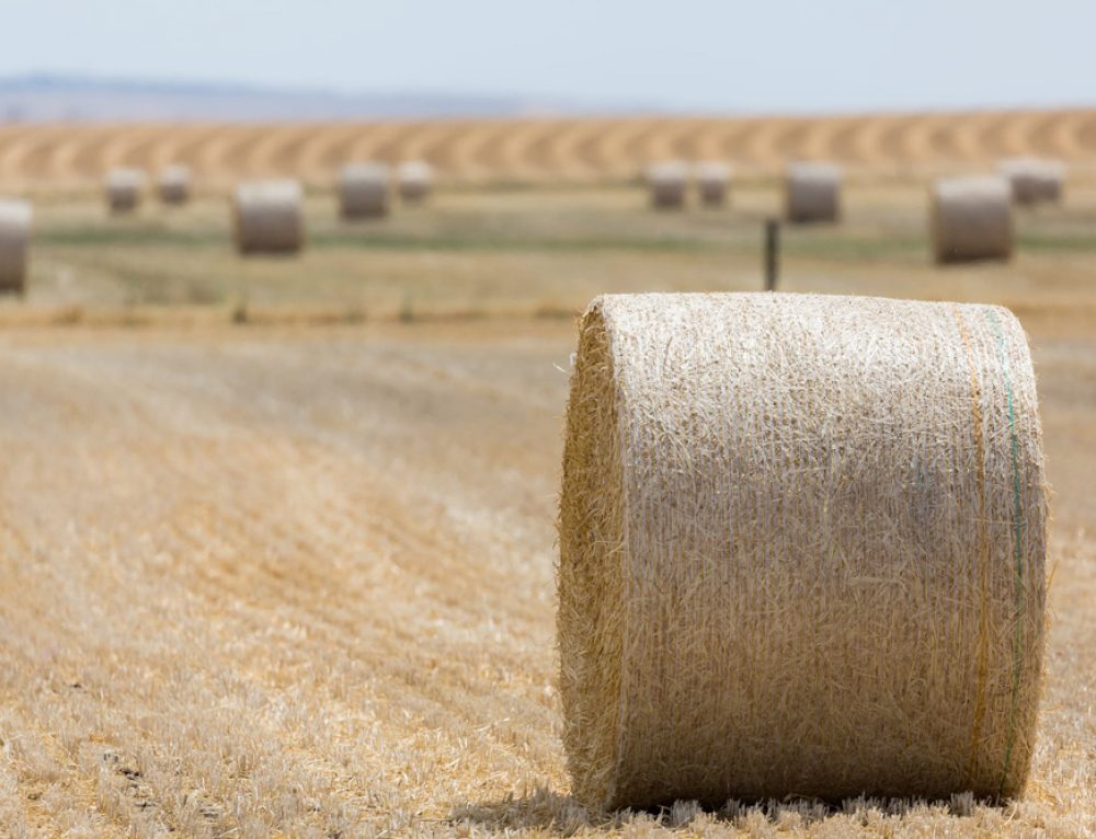 Options for improved waste management: Current practices and ...