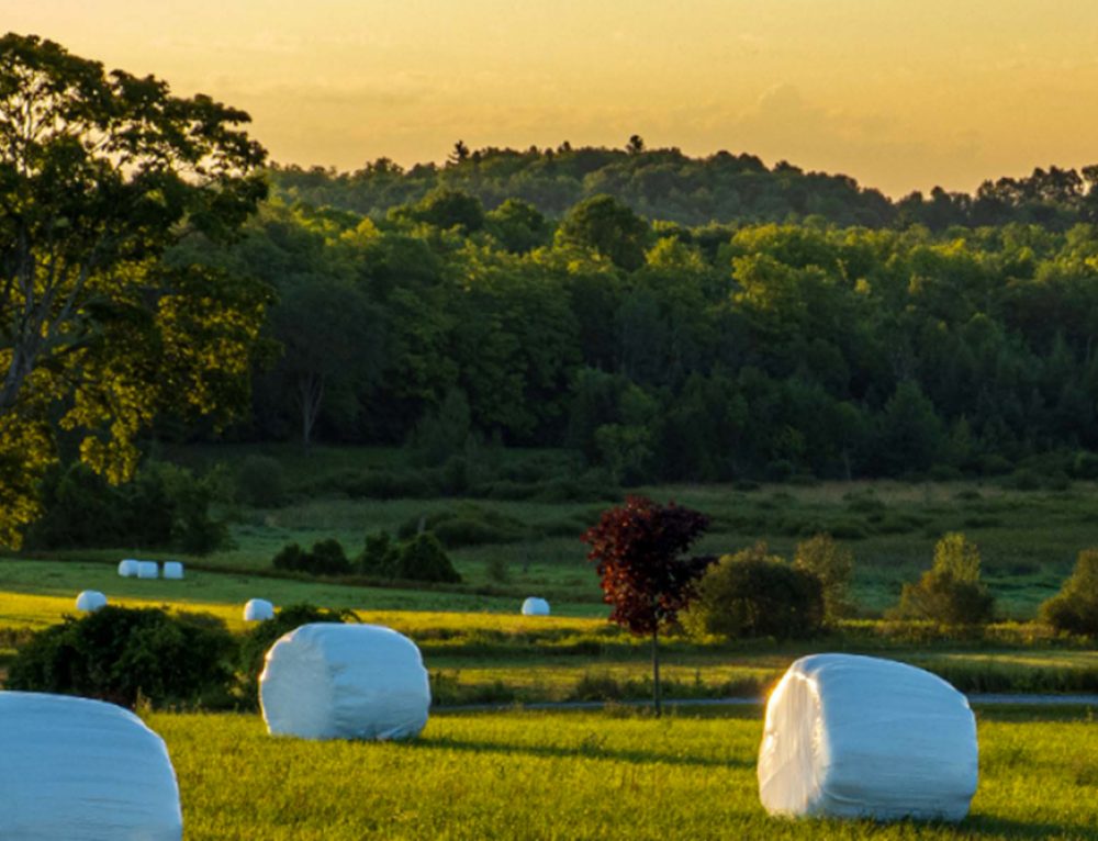 Designing optimal solutions for workshop waste – Australian Farm Waste ...